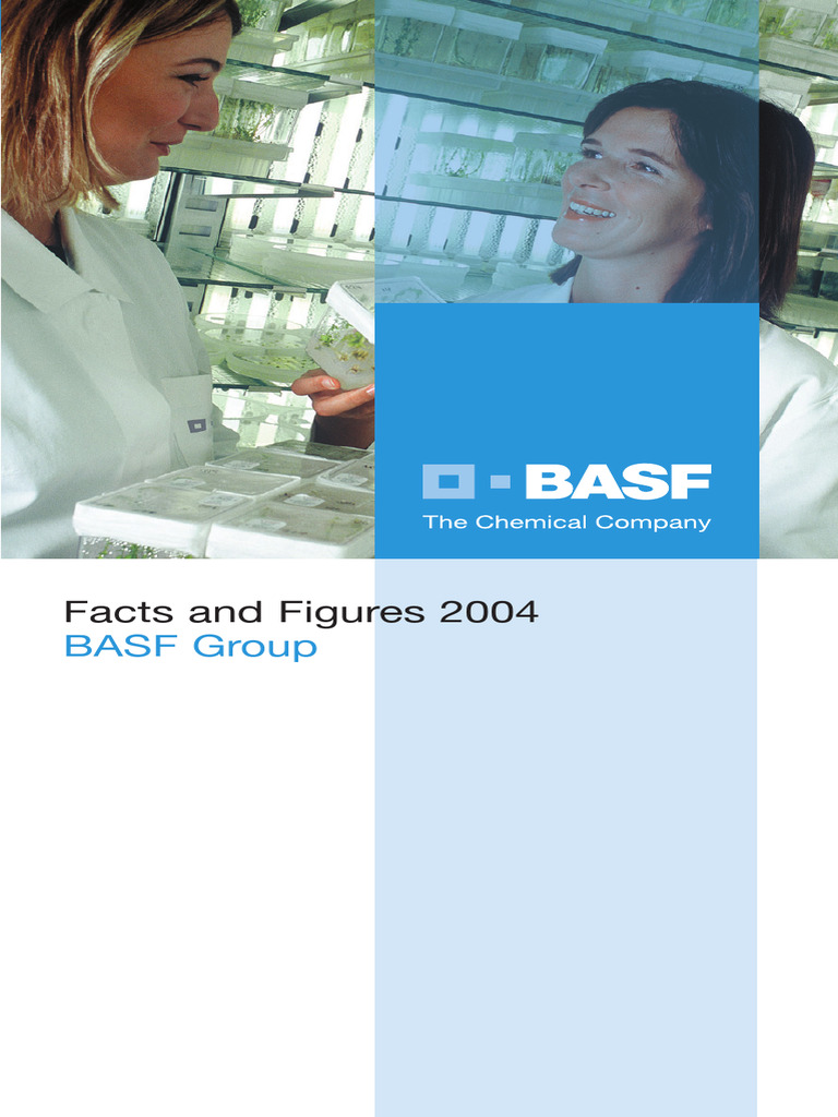 BASF Facts and Figures 2004.pdf - Assetinline | PDF | Cost Of Capital | Dividend