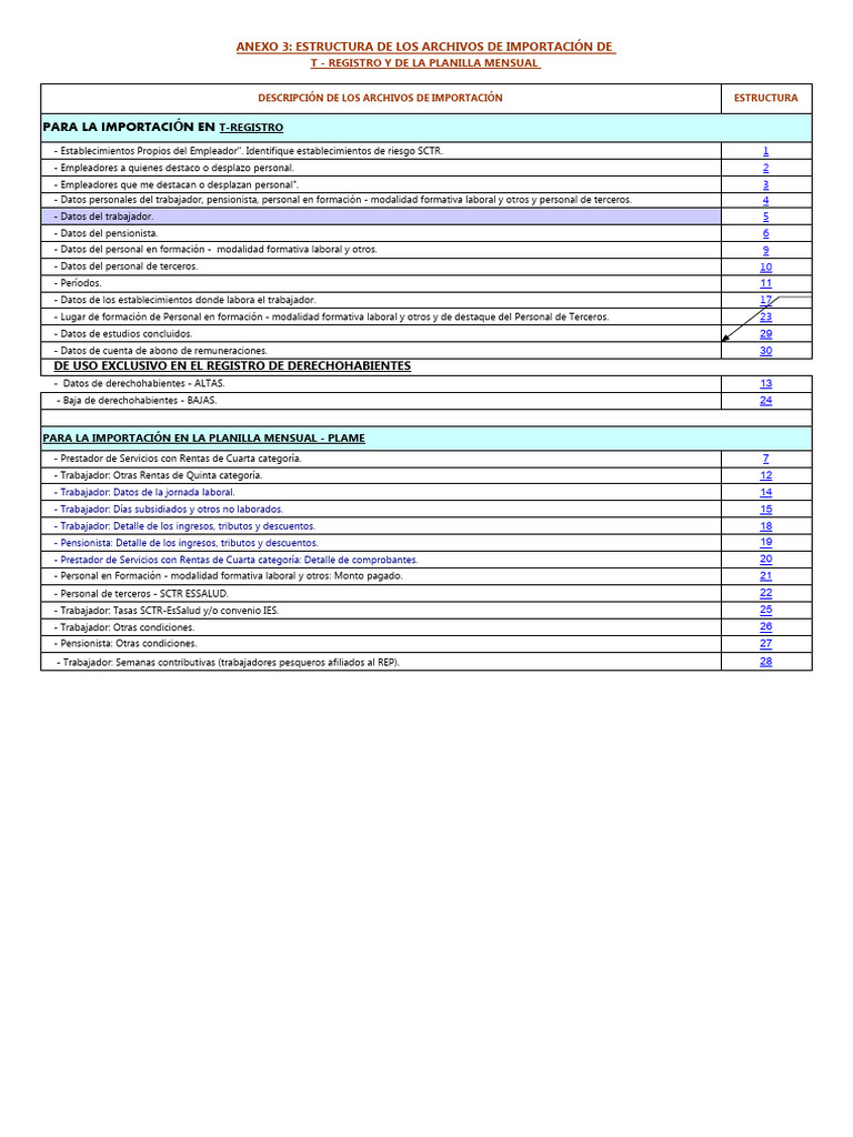Anexo3 Estructuras Archivos Importación SET2022 2 | PDF | Documento de identidad | Decimal