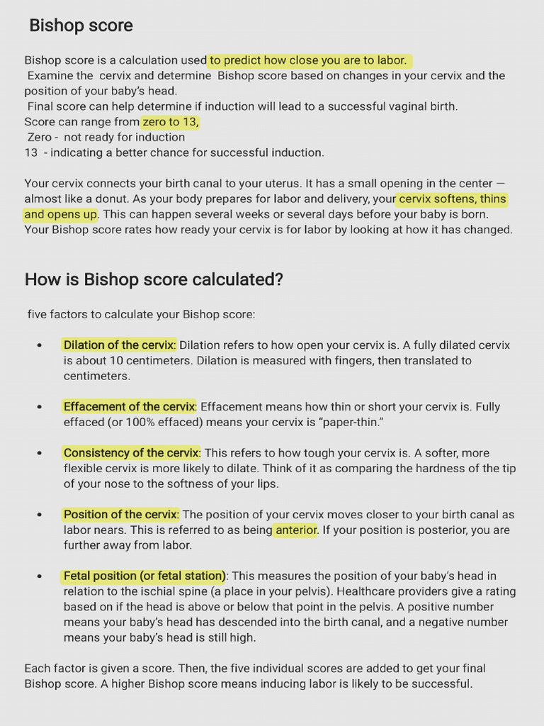 Bishop Score - 240516 - 133004 | PDF