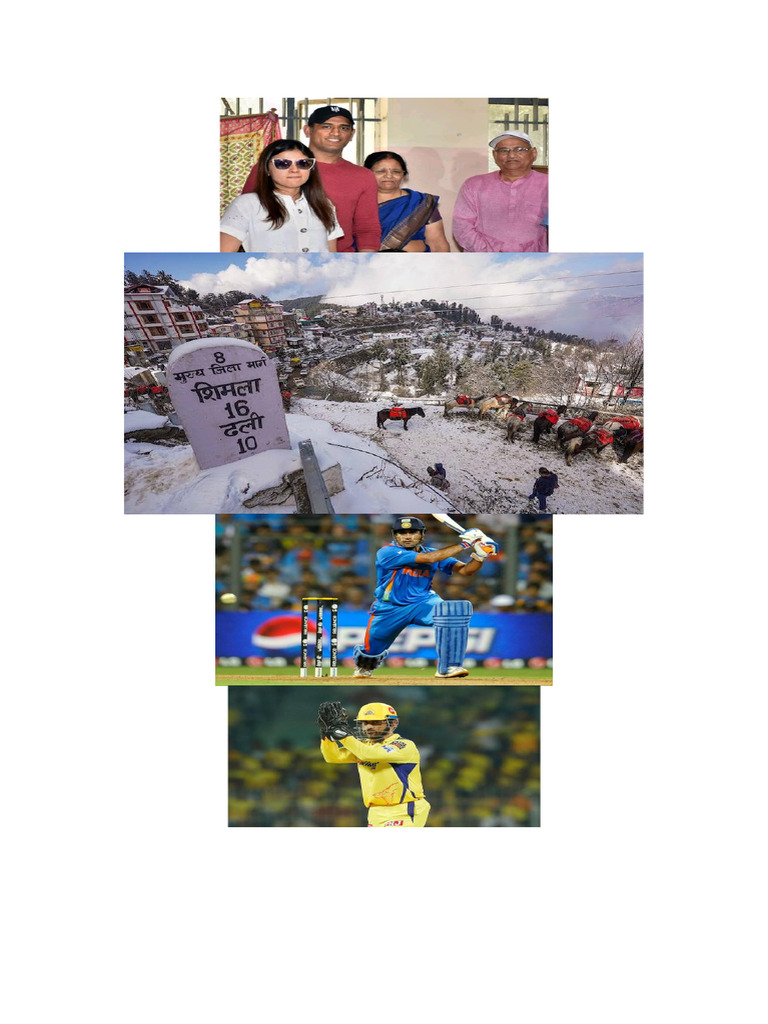 Alpine Project | PDF