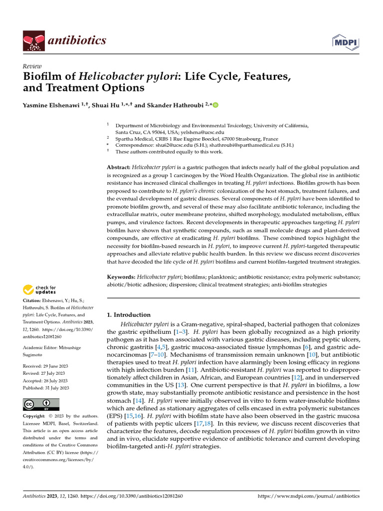 Biofilm of Helicobacter pylori, life cycle, features and treatment options | Download Free PDF ...