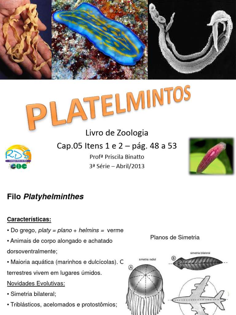 Platelmintos | PDF | Biologia | Zoologia Platelmintos | PDF | Biologia | Zoologia