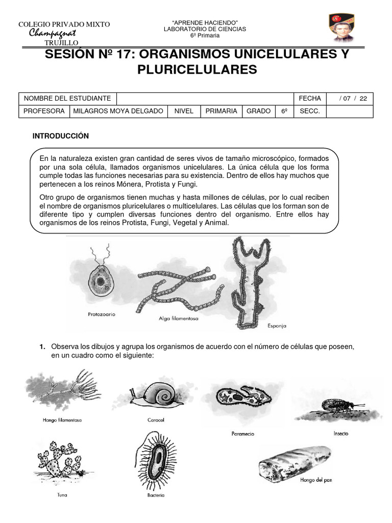 Organismos Unicelulares y Pluricelulares | PDF | Organismos | Hongo
