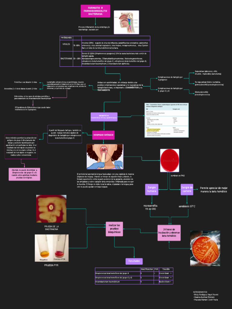 Faringitis Bacteriana - Miércoles B | PDF | Salud pública ...