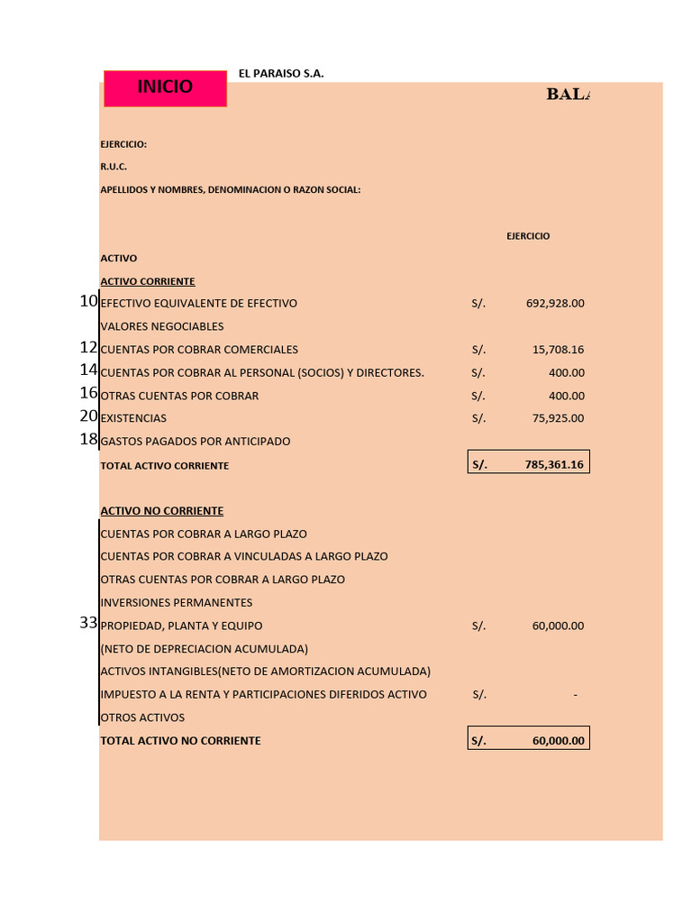 Estados Financieros 2024 | PDF | Valor neto | Hoja de balance