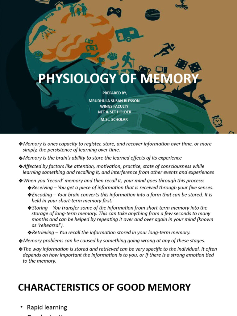 Physiology of Memory | PDF | Long Term Potentiation | Memory
