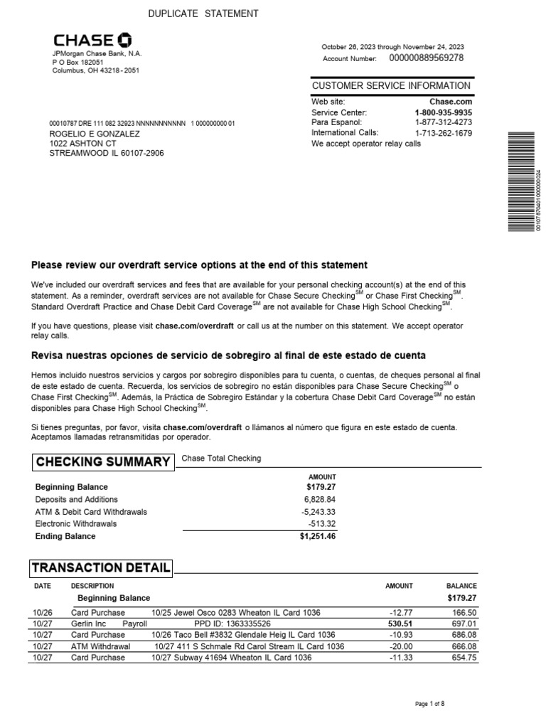 Chase Bank Account Statement Summary | PDF | Overdraft | Transaction ...