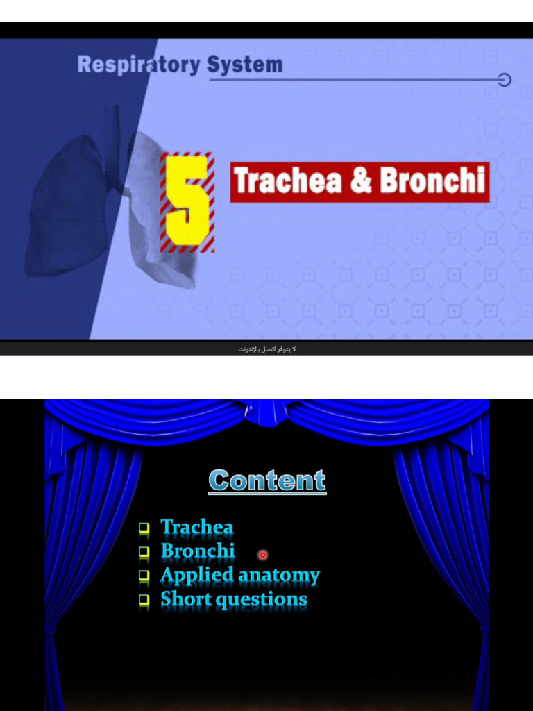 Respiratory 5 (Trachea & Bronchi) ايمن خنفور | PDF