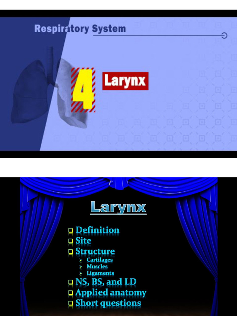 Respiratory 4 ( Larynx) ايمن خنفور | PDF