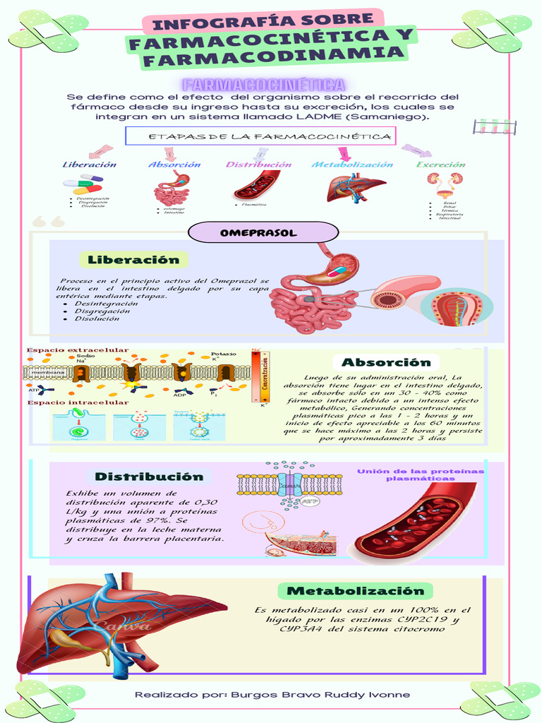 Infografía de Farmacocinética y Farmacodinamia-Burgos Ivonne | PDF | Farmacología | Bioquímica