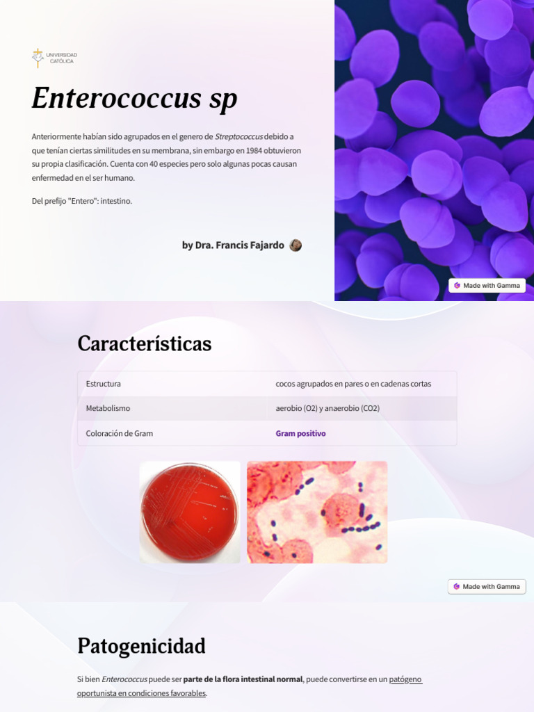 Enterococcus Sp | PDF | Infección del tracto urinario | Resistencia ...