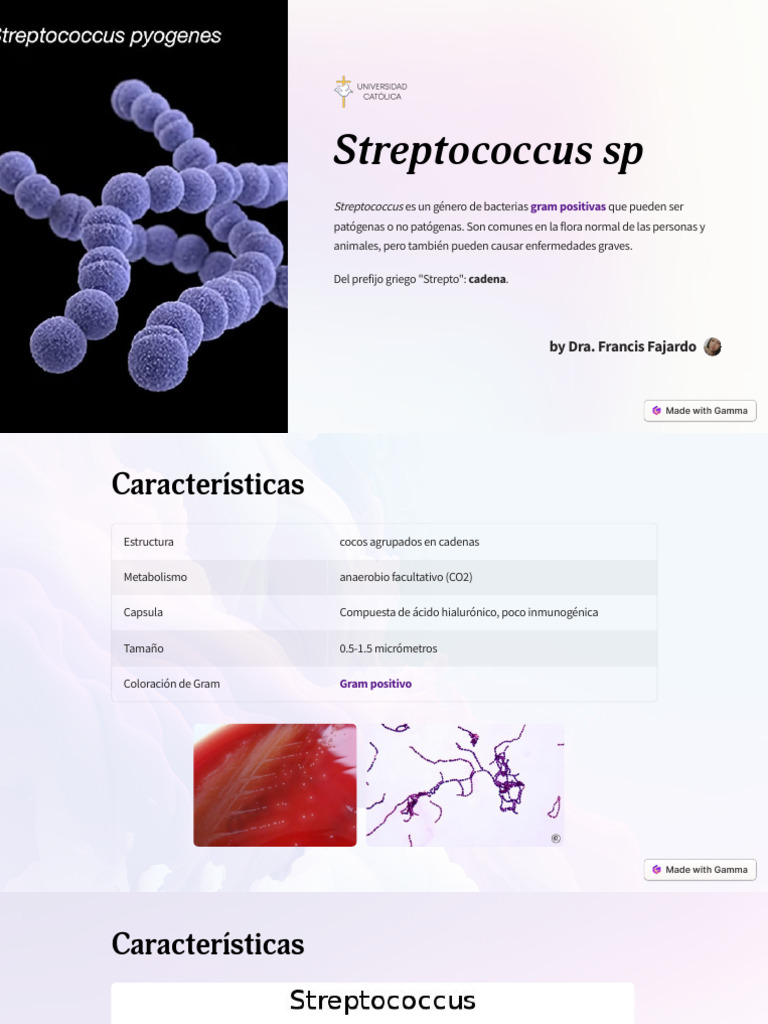 Streptococcus SP | PDF | Estreptococo | Penicilina