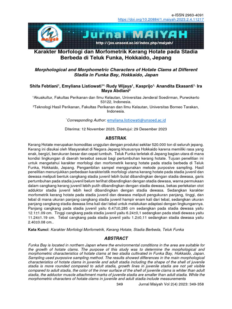 Morfologi dan Morfometrik Kerang Hotate | PDF