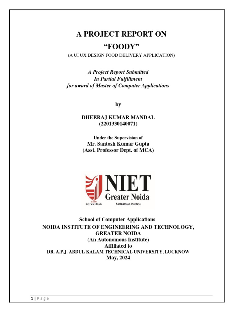 UI UX Project Report | PDF | Usability | Security