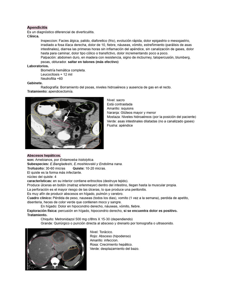 Imagenologia | PDF | Enfermedades y trastornos | Medicina CLINICA
