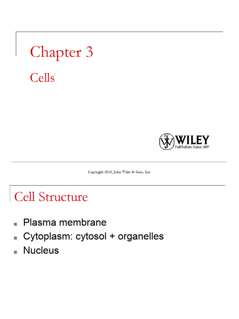 2 Cells | PDF | Mitosis | Endoplasmic Reticulum