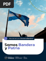 Proyecto "Mi Bandera" en Nivel Inicial | PDF | Los símbolos | Educación ...