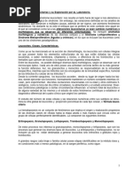 Morfología de Mielocitos y Metamielocitos | PDF | Linfocitos | Nucleo ...