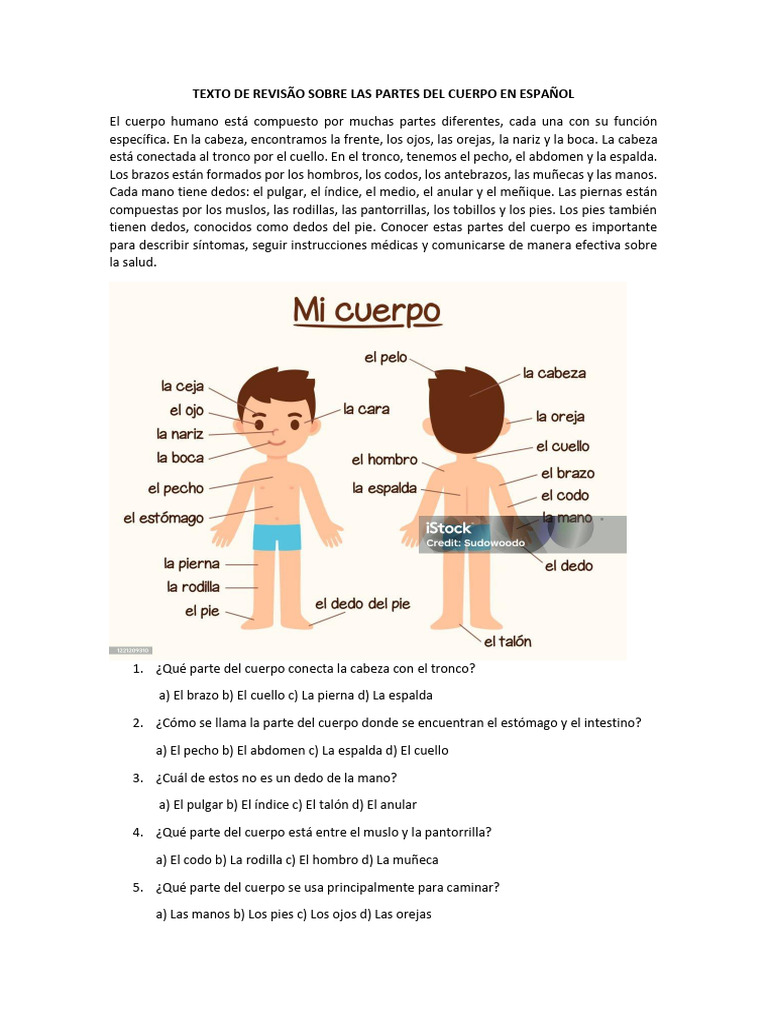 Texto de Revisão Sobre Las Partes Del Cuerpo en Español | PDF | Mano ...