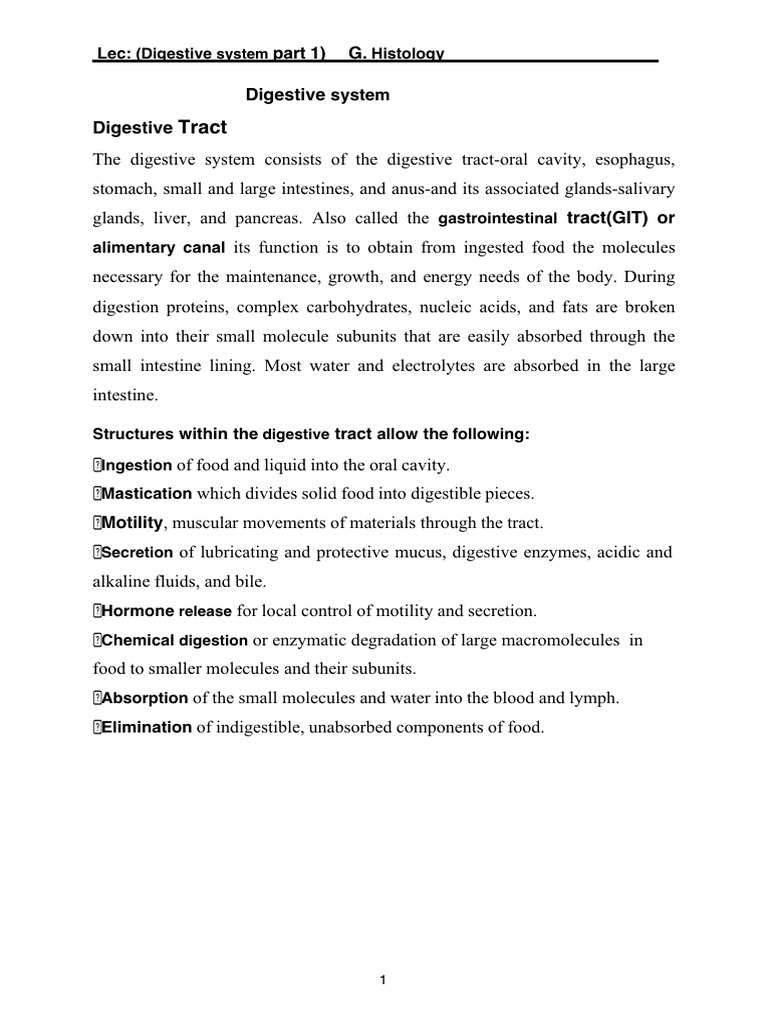 Lec.digestive System Part 1 | PDF Lec.digestive System Part 1 | PDF