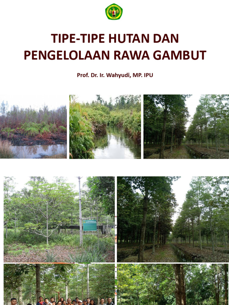 2 Tipe Dan Pengelolaan Hutan Rawa Gambut | PDF