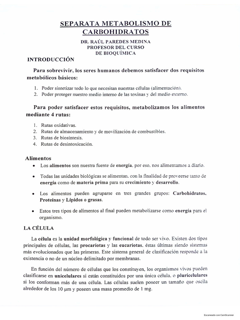 Lab Bioquímica Pdf