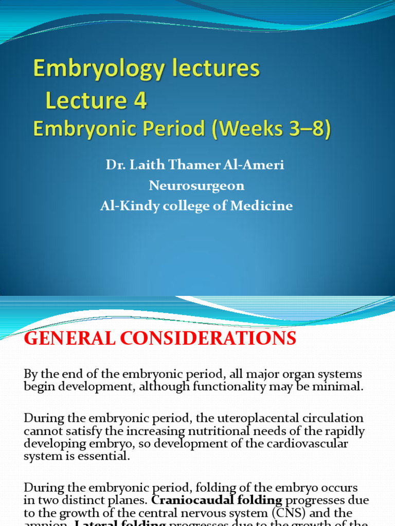 Lec 4 Embryonic Period (Weeks 3-8) - 230619 - 072915 | PDF | Embryo ...