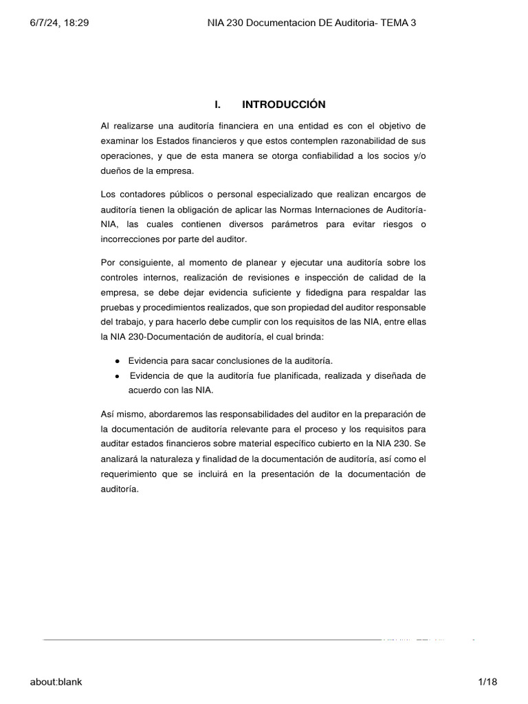 NIA 230 Documentacion DE Auditoria - TEMA 3 | PDF | Auditoría | Business