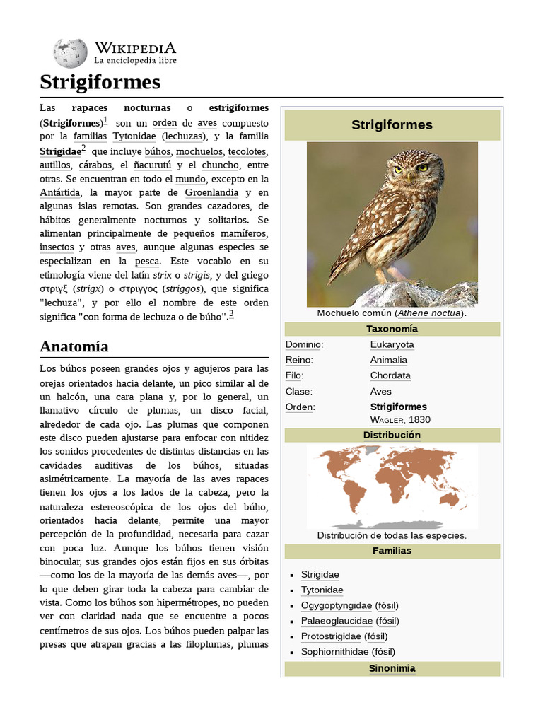 Strigiformes | PDF | Búho | Zoología