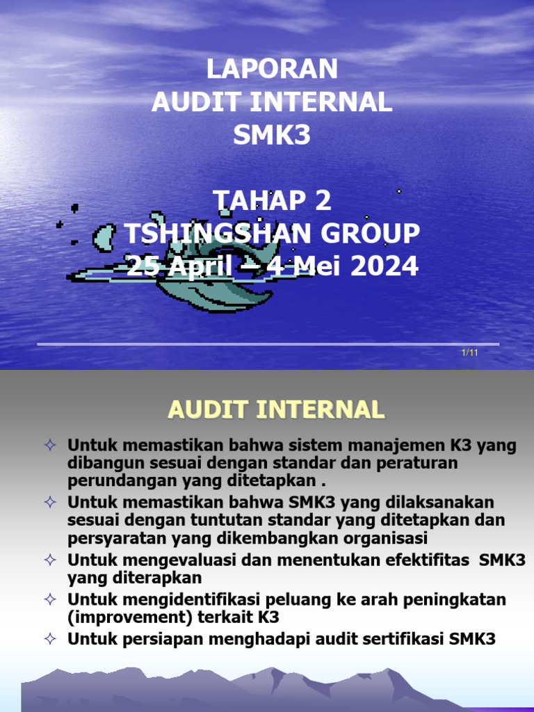 Lap Auidit Internal TG Thp2 7524 R0 | PDF | Komputer