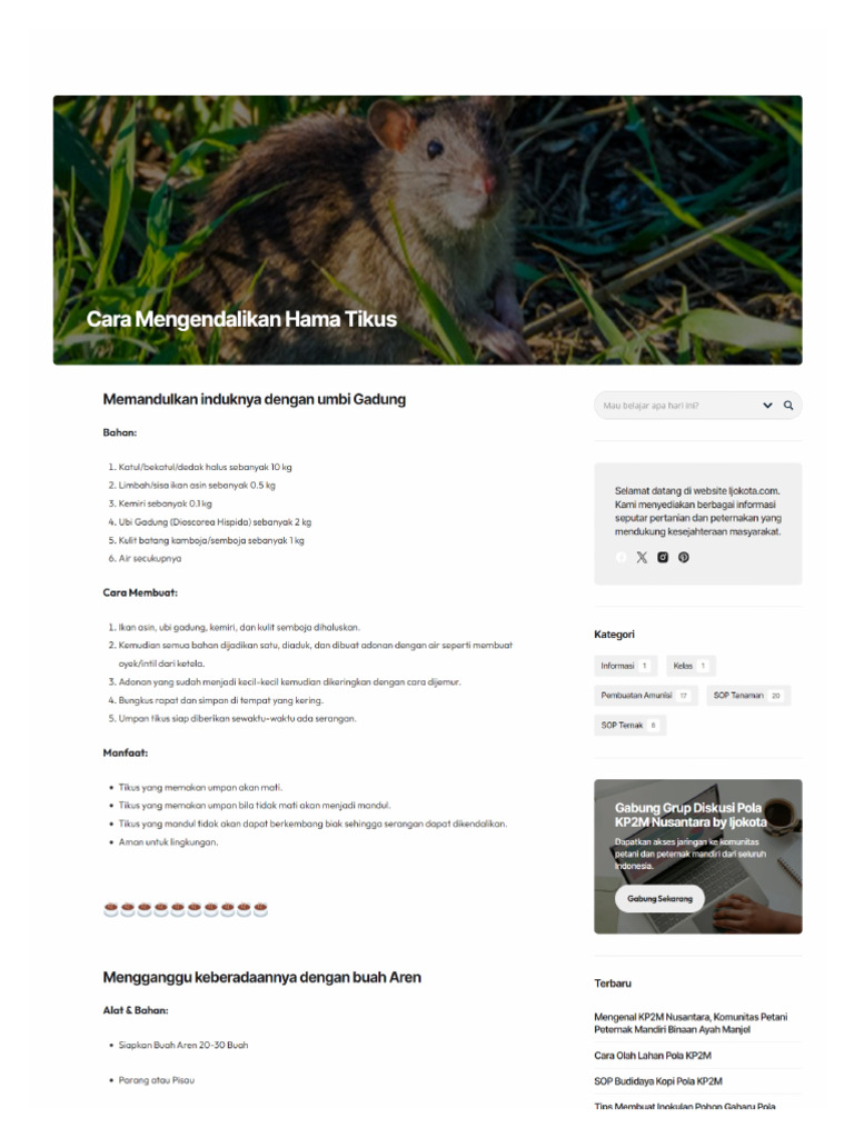 Cara Mengendalikan Hama Tikus | PDF