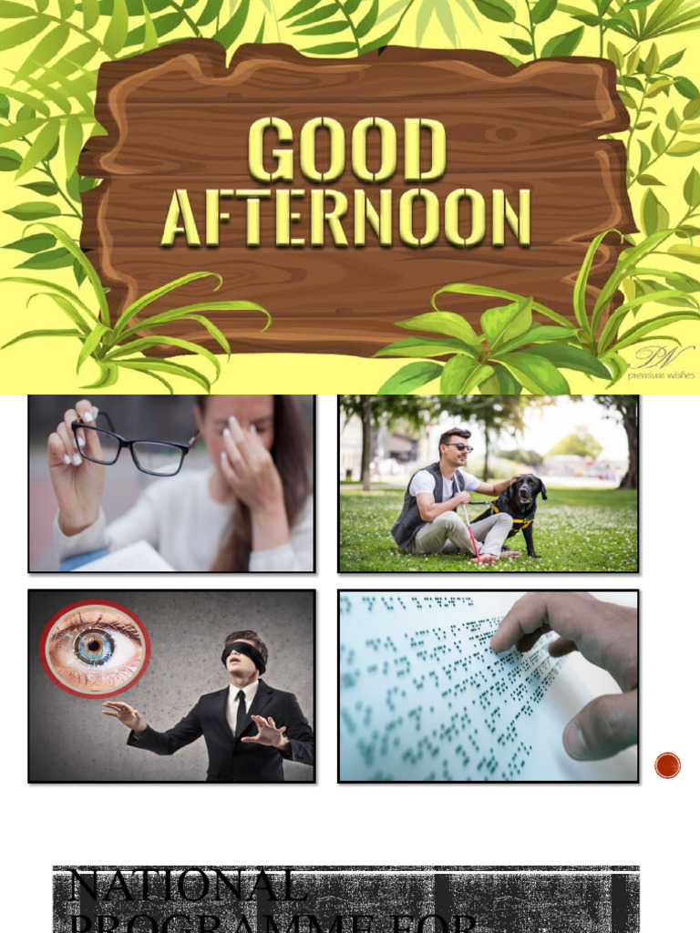 NPCB | PDF | Visual Impairment | Visual Acuity