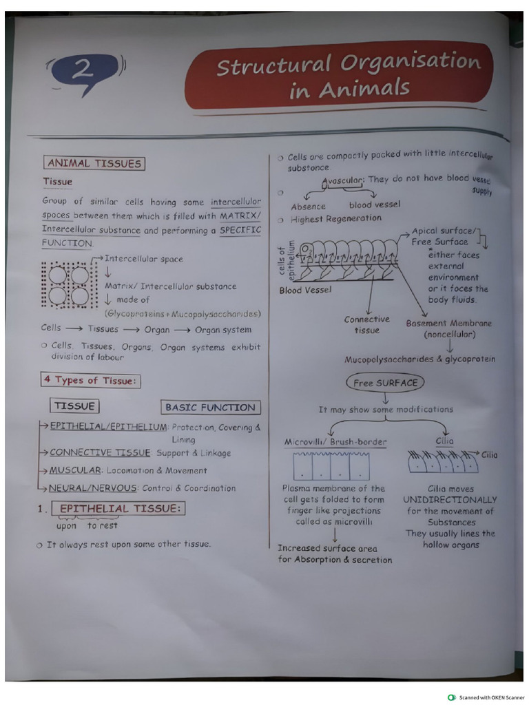 Zoology 1 and 2 | PDF