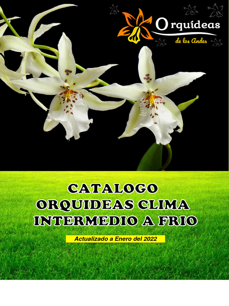 Catalogo Orquideas Ene2022 | PDF | Plantas | Botánica
