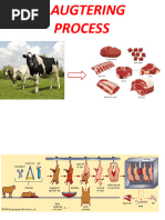 Poultry Carcass Dressing Procedure | PDF