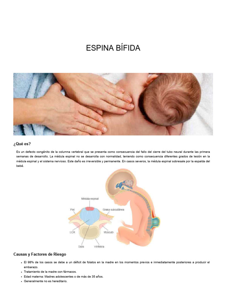 Espina Bifida | PDF | Especialidades Medicas | Sistema nervioso