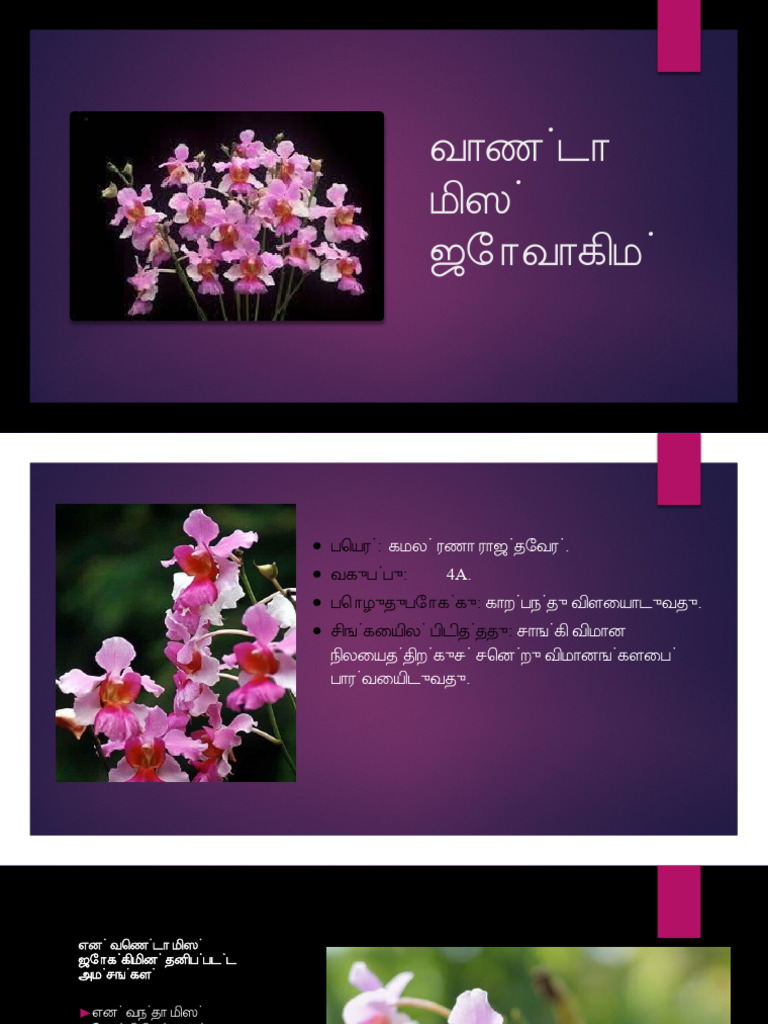 Group 2 Presentation - GOP | PDF