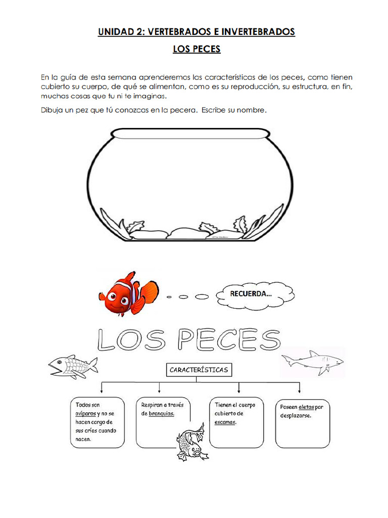Guia Los Peces | PDF