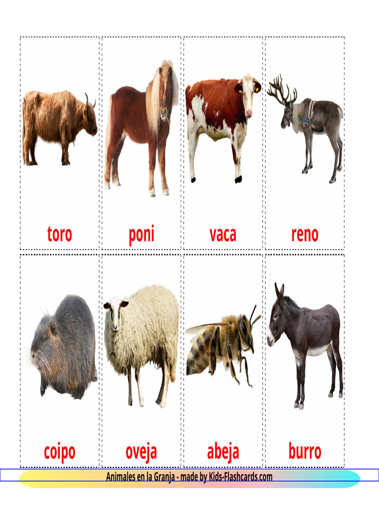 Flashcards of Farm Animals in Spanish | PDF
