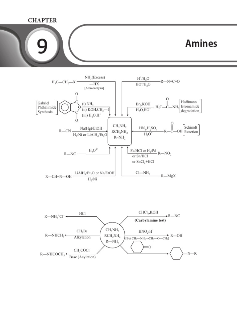 6568a55bd83df00018bccf91 - ## - Amines - Short Notes | PDF | Amine ...