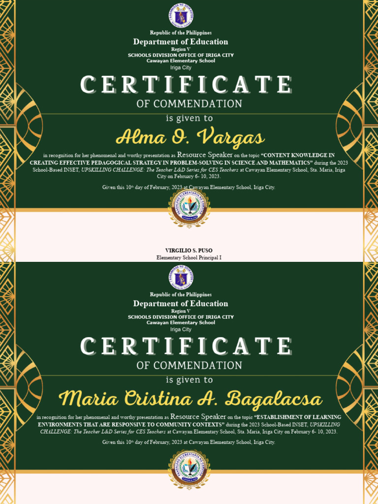 CERT in INSET For SPEAKERS | PDF | Teachers | Cognitive Science