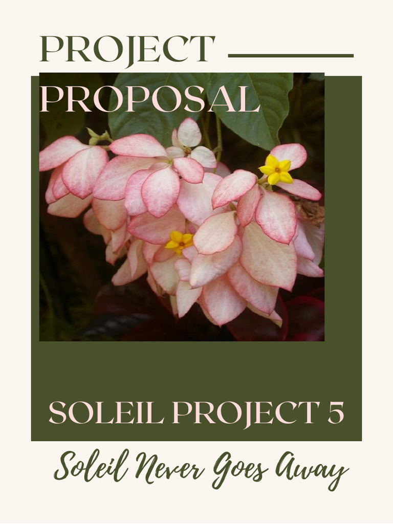 Soleil Project SS5 1 | PDF