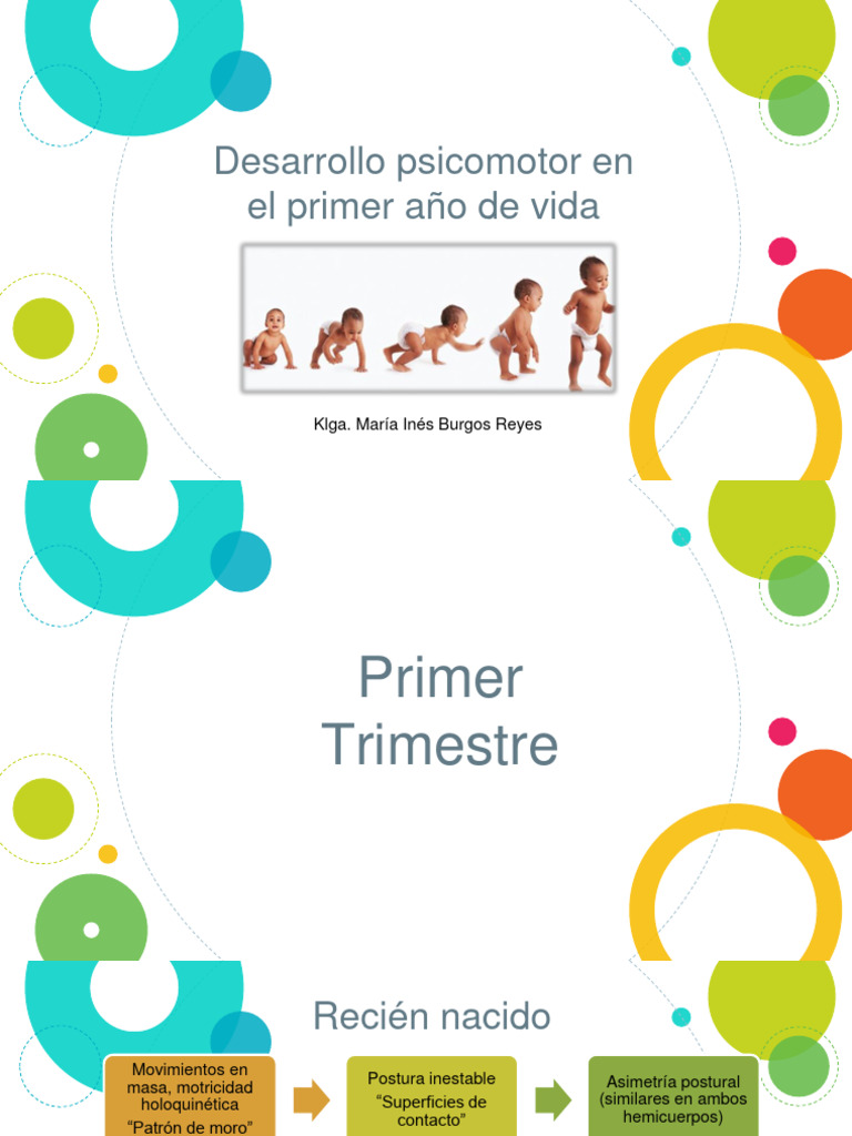 Desarrollo Psicomotor Primer Año de Vida | PDF | Pelvis | Adultos