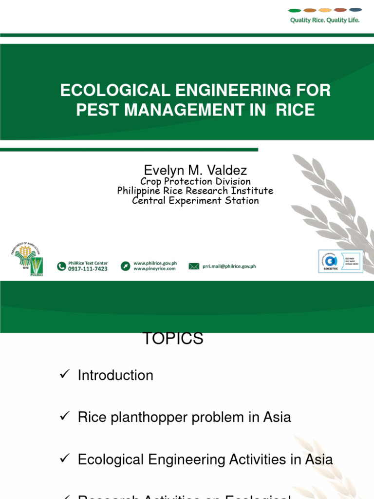 Ecological Eng'g EMValdez | PDF | Rice | Ecology
