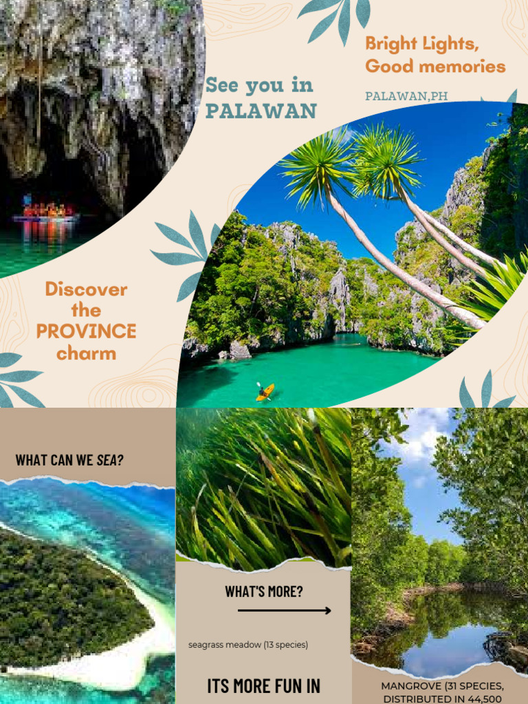 Palawan Natural Resources | PDF