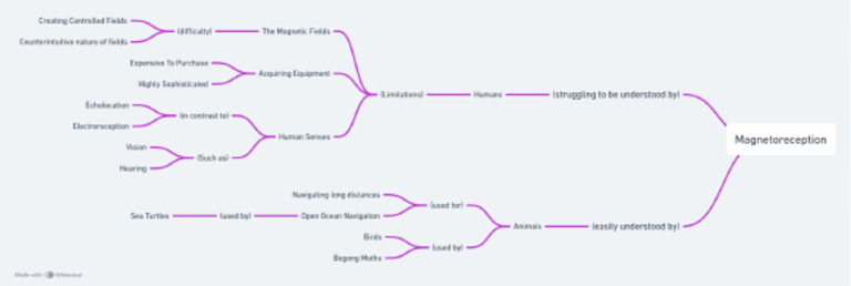 CM 4 MAGNETORECEPTION | PDF