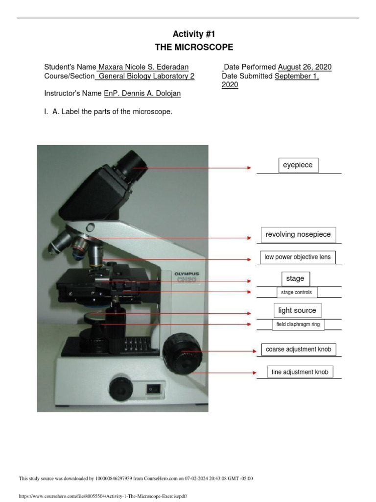 Activity 1 The Microscope Exercise PDF | PDF | Microscope | Electromagnetic Radiation