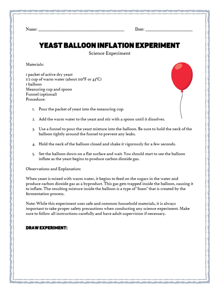 Yeast Balloon Experiment Worksheet | PDF | Yeast | Experiment
