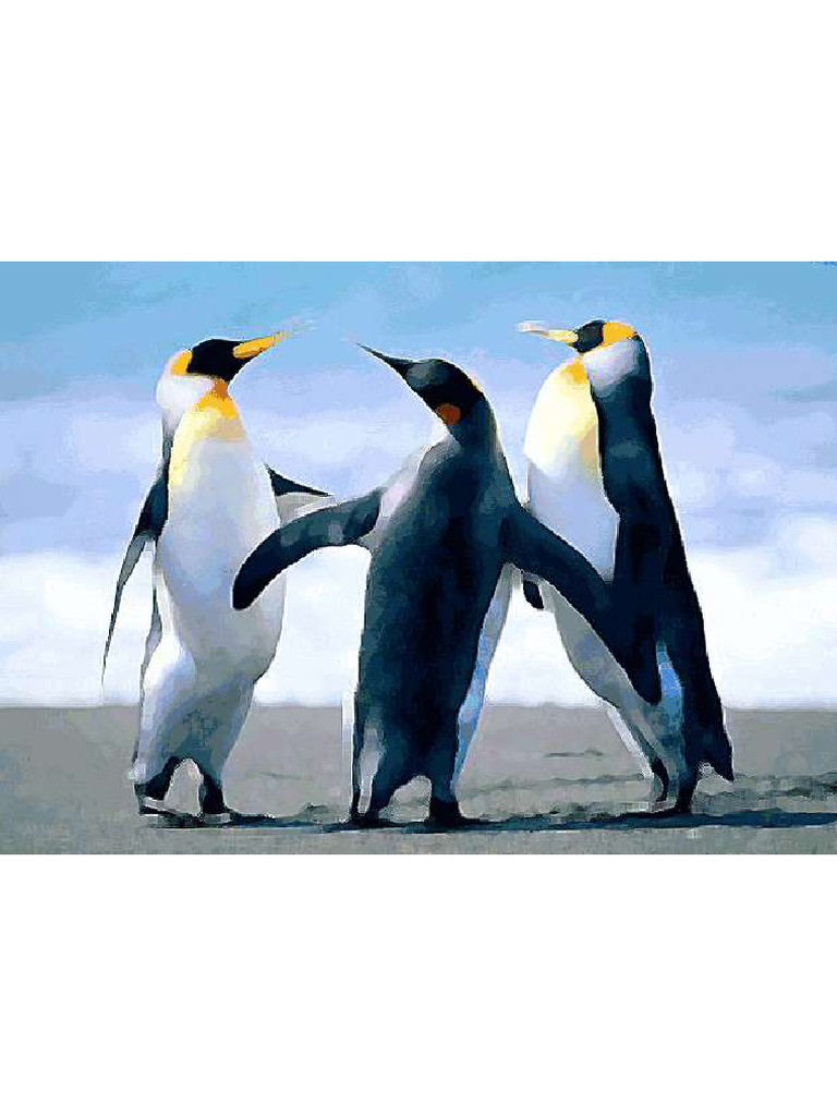 Pinguim | PDF