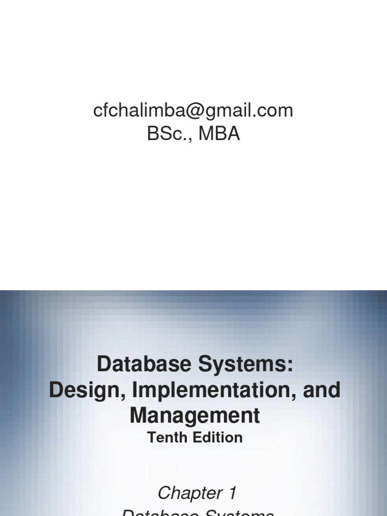 PPT ch01 | PDF | Databases | Computer File